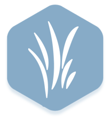 Lawn Care Services | Cincinnati, Dayton OH | Oasis Turf & Tree