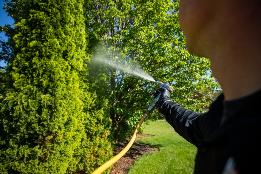 5 Reasons Fall Tree Fertilizer will Make your Landscape Look Amazing