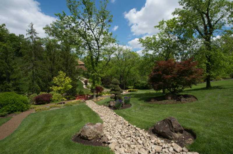 Oasis Turf & Tree Wins National Award for Lawn Care Results