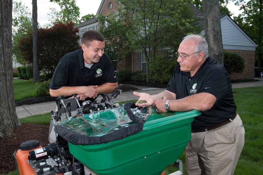 10 Reasons Our Team Loves Working at Oasis Turf & Tree